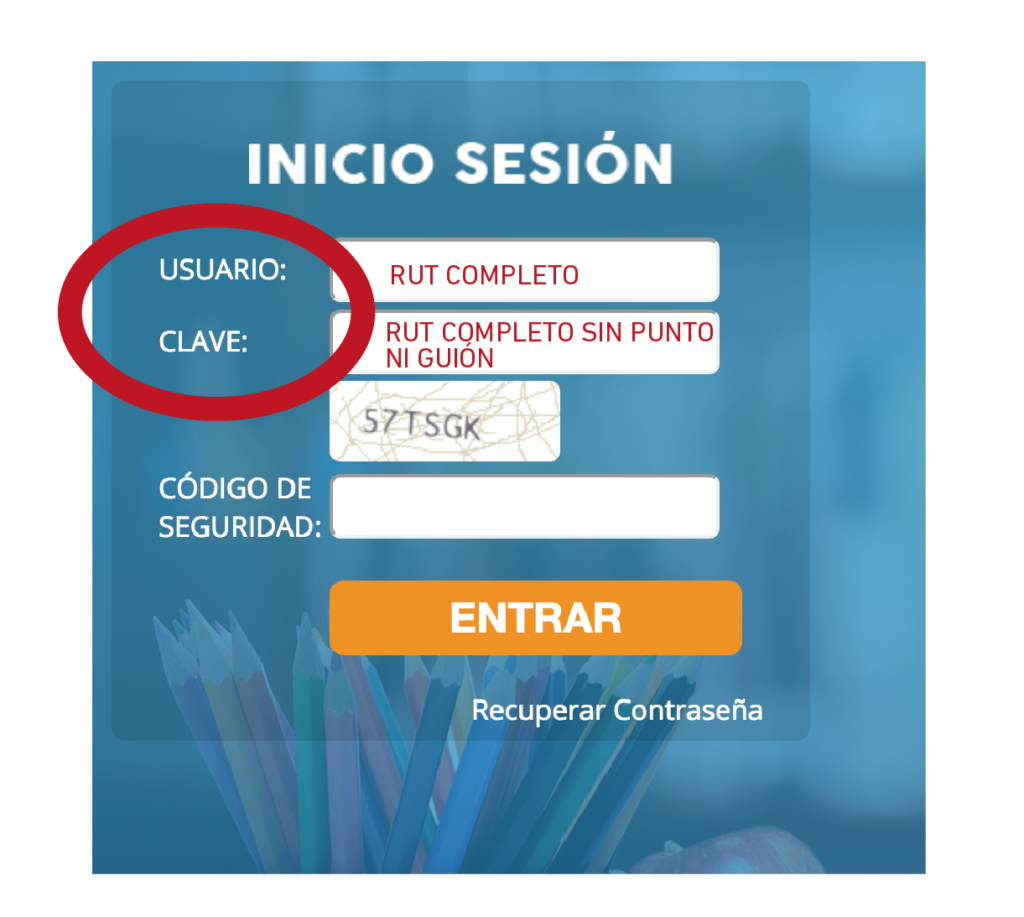 MYSCHOOL - Colegio San Anselmo