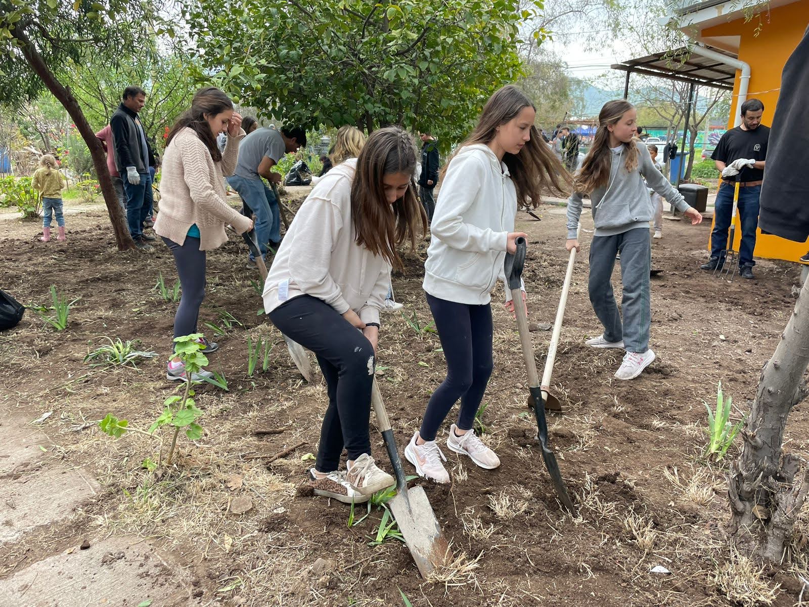 Trabajos Familiares comunidad que trabaja unida - Colegio San Anselmo